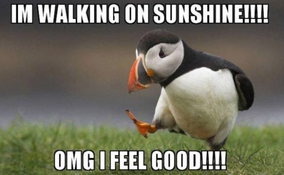 40 Feels Good Memes to Showcase Just How Satisfied You Are 40 Feels Good Memes to Showcase Just How Satisfied You Are