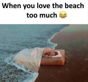20 Best of Funny Beach Memes – SheIdeas