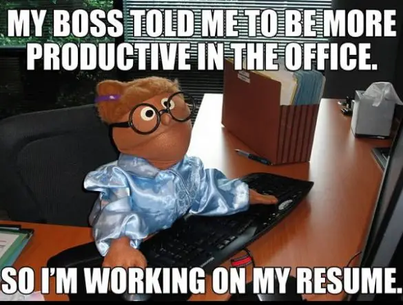 30 Funniest Boss Memes That Are Surprisingly Relatable – SheIdeas