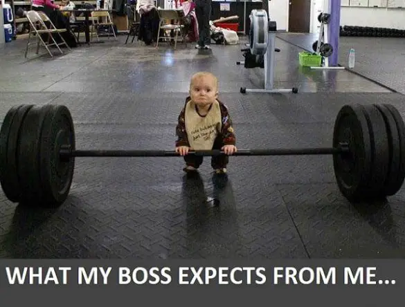 30 Funniest Boss Memes That Are Surprisingly Relatable – SheIdeas