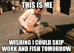 30 Funny Fishing Memes for Guaranteed Giggle – SheIdeas
