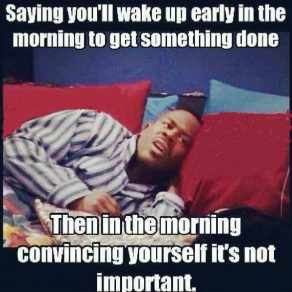50 Funny Good Morning Memes for Kick-Ass Mornings – SheIdeas