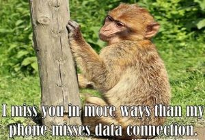 40 Funny Miss You Memes to Share with Your Close Ones – SheIdeas