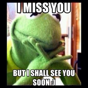 40 Funny Miss You Memes to Share with Your Close Ones – SheIdeas