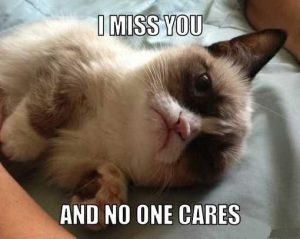40 Funny Miss You Memes to Share with Your Close Ones – SheIdeas