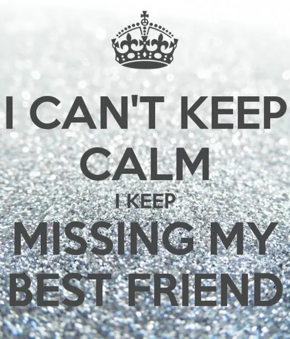 40 Funny Miss You Memes to Share with Your Close Ones – SheIdeas