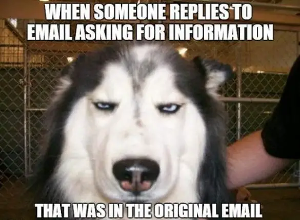30 Funny Office Memes to Share with Your Coworker – SheIdeas