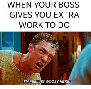 30 Funny Office Memes to Share with Your Coworker – SheIdeas