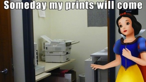 30 Funny Office Memes to Share with Your Coworker – SheIdeas