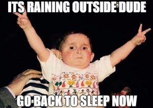 30 Go To Sleep Memes to Have A Great Night – SheIdeas