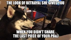 50 Hysterical Side Eye Memes That Everybody Can Relate – SheIdeas