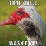 50 Hysterical Side Eye Memes That Everybody Can Relate – SheIdeas