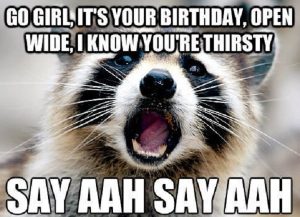 30 Amazing You Go Girl Memes to Encourage Women – SheIdeas
