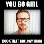 30 Amazing You Go Girl Memes to Encourage Women – SheIdeas