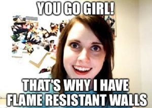 30 Amazing You Go Girl Memes to Encourage Women – SheIdeas
