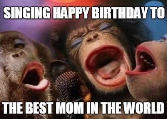 20 Ridiculously Funny Best Mom Memes – SheIdeas