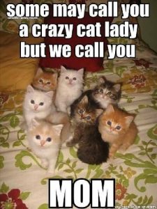 20 Crazy Mom Memes That’ll Crack You Up – SheIdeas