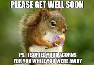 20 Funny Get Well Memes to Make You Feel Better – SheIdeas