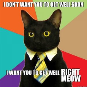 20 Funny Get Well Memes to Make You Feel Better – SheIdeas