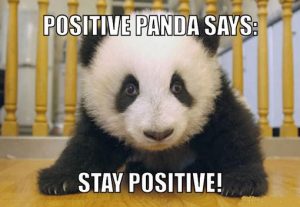 20 Best Funny Positive Memes To Have A Great Day – SheIdeas