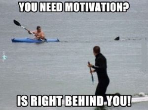 20 Best Funny Positive Memes To Have A Great Day – SheIdeas