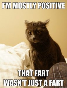 20 Best Funny Positive Memes To Have A Great Day – SheIdeas