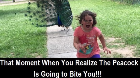 20 Girl Running Memes to Tickle Your Funny Bone – SheIdeas