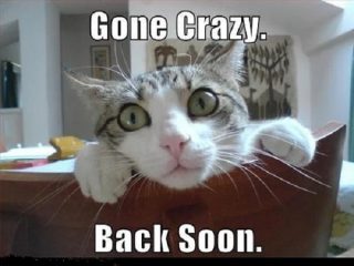 30 Going Crazy Memes That Are Actually Hilarious – SheIdeas
