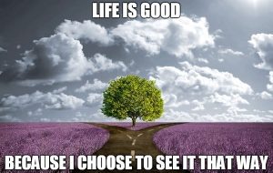 20 Life Is Good Memes to Cheer Your Mood – SheIdeas