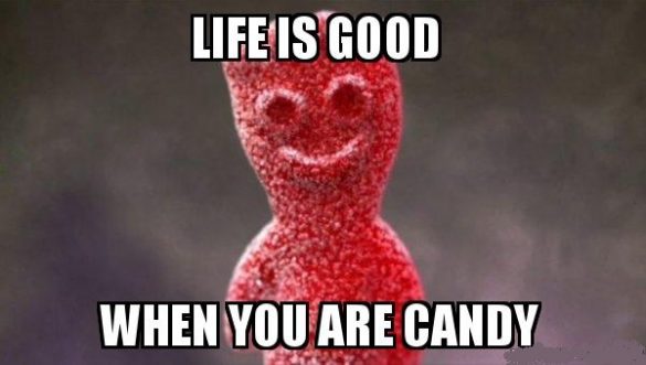 20 Life Is Good Memes to Cheer Your Mood – SheIdeas