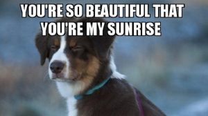 30 You're Beautiful Memes to Express Aesthetic Appreciation
