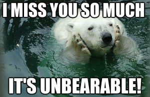 40 Funny Miss You Memes to Share with Your Close Ones – SheIdeas