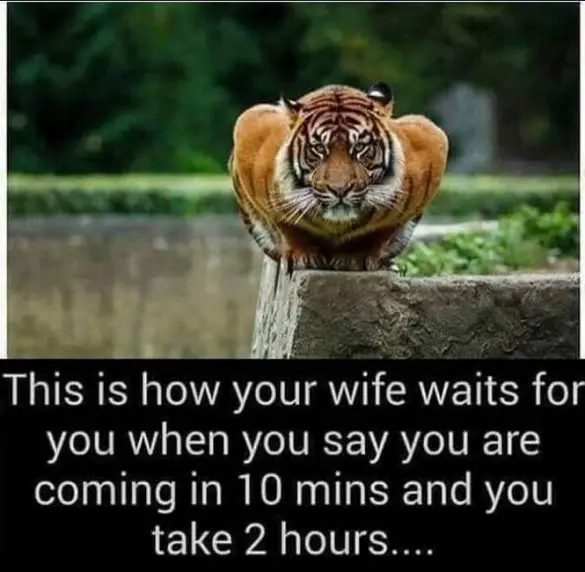 30 Funny Wife Memes That Are Scarily And Hilariously Accurate